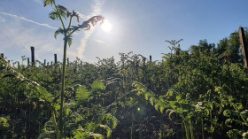 WHM Weekend by Rene Valk at FHJC+WXM Comblain-au-Pont, België | Wim Hof ...